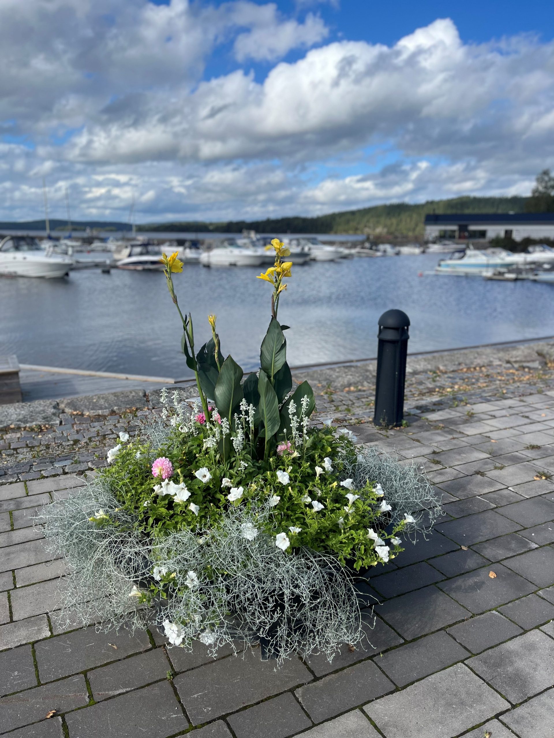 Vad händer vecka 39 - 2025 - Unika Ludvika Magazine